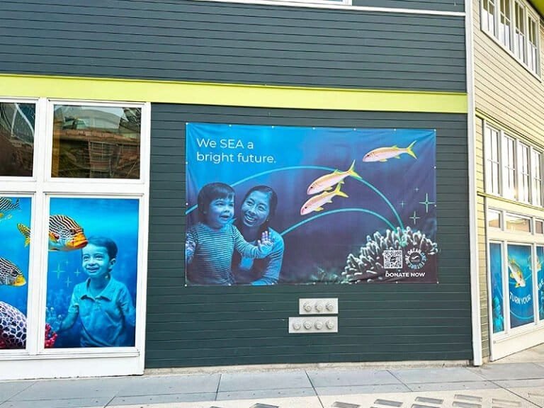 Building Exterior Banner